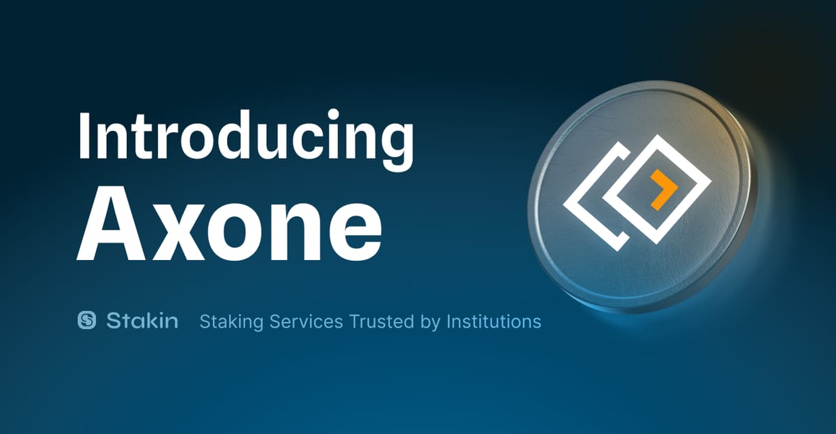 An Introduction To Axone