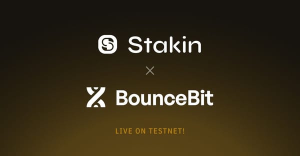 An Introduction to BounceBit
